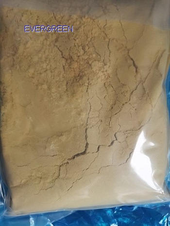 Freeze Dried Sweet Corn Powder